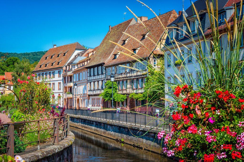 Selva Negra: Primera Parada, Heidelberg